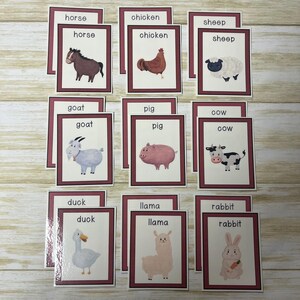 Farm Animals Sensory Bin Featuring Animal Activity Cards - Etsy