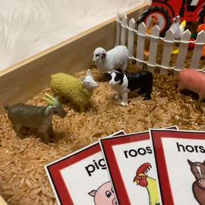 Farm Animals Sensory Bin Featuring Animal Card Game Activity - Etsy