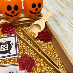 Five Little Pumpkins Numbers Sensory Bin | Halloween Sensory Bin - Etsy