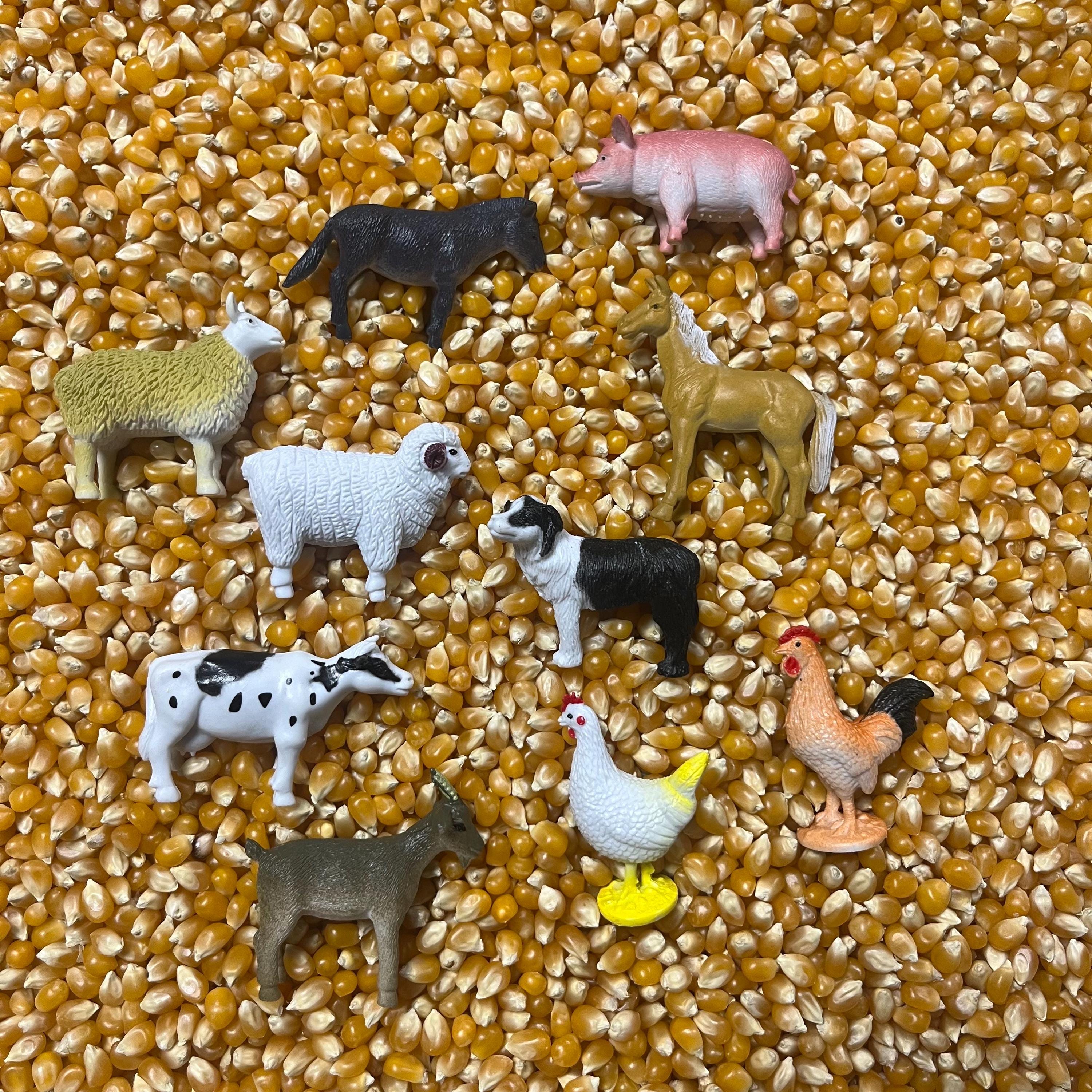Farm Sensory Bin | Fall Sensory Kit | Farm Animals, Tractor Sensory Bin ...