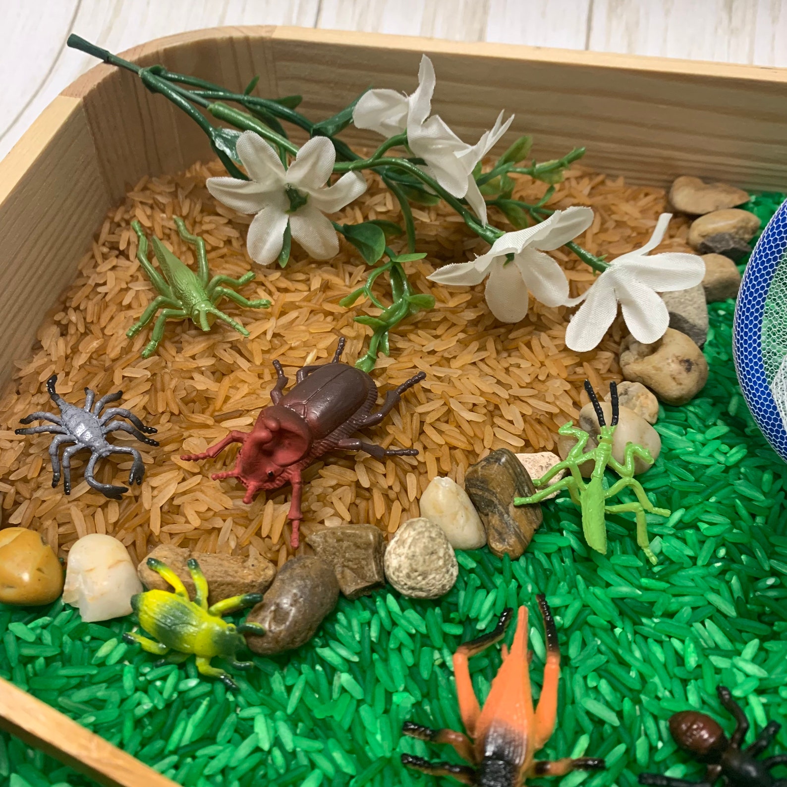 Bug Hunt Sensory Bin Ft Insect Puzzle Cards Etsy bug-hunt-sensory-bin-ft-insect-puzzle-cards-etsy