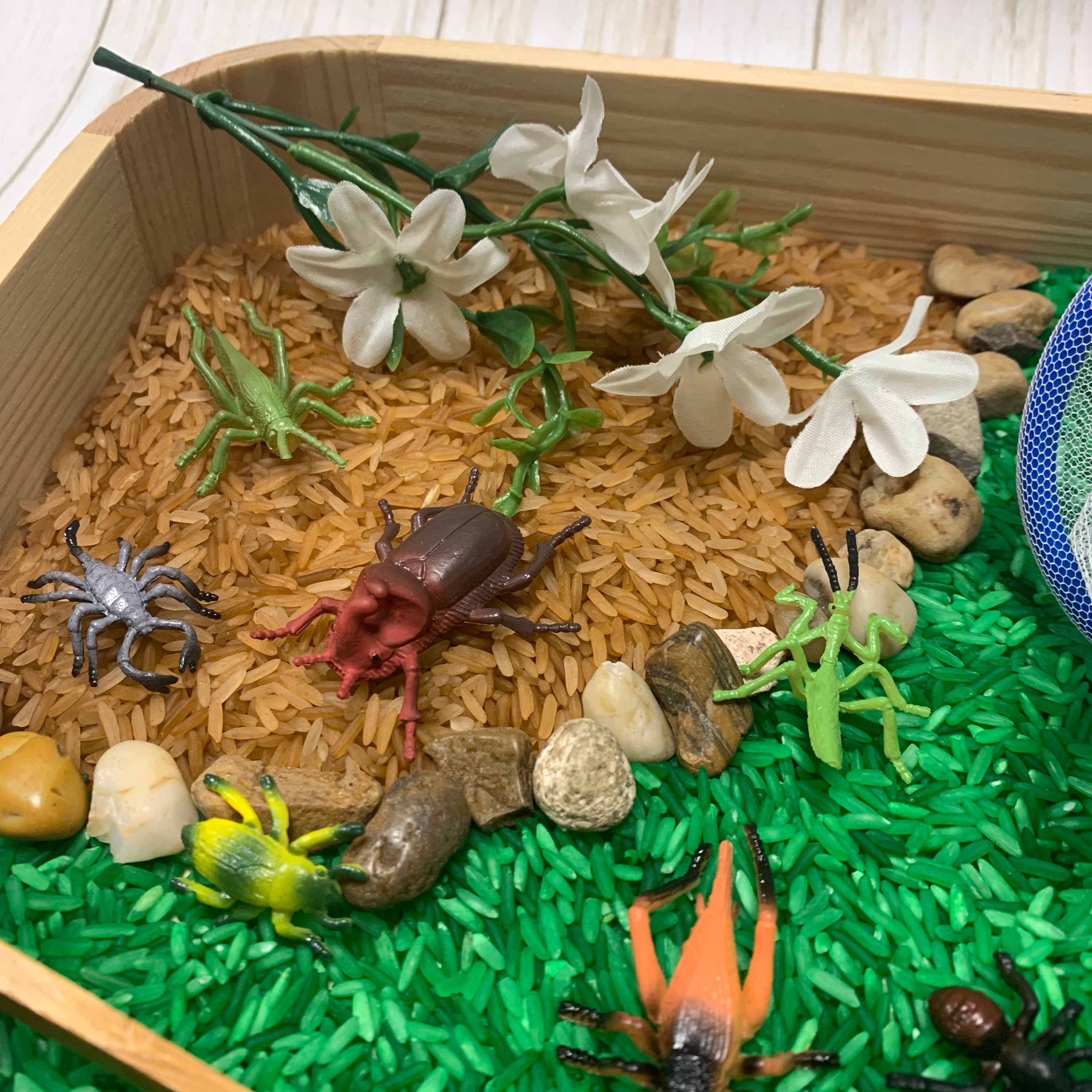 Bug Hunt Sensory Bin Featuring Insect Puzzle Cards | Insect Sensory Bin ...