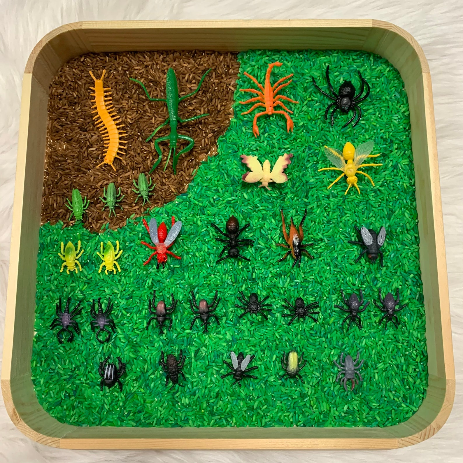 Bug Hunt Sensory Bin Featuring Insect Puzzle Cards - Etsy