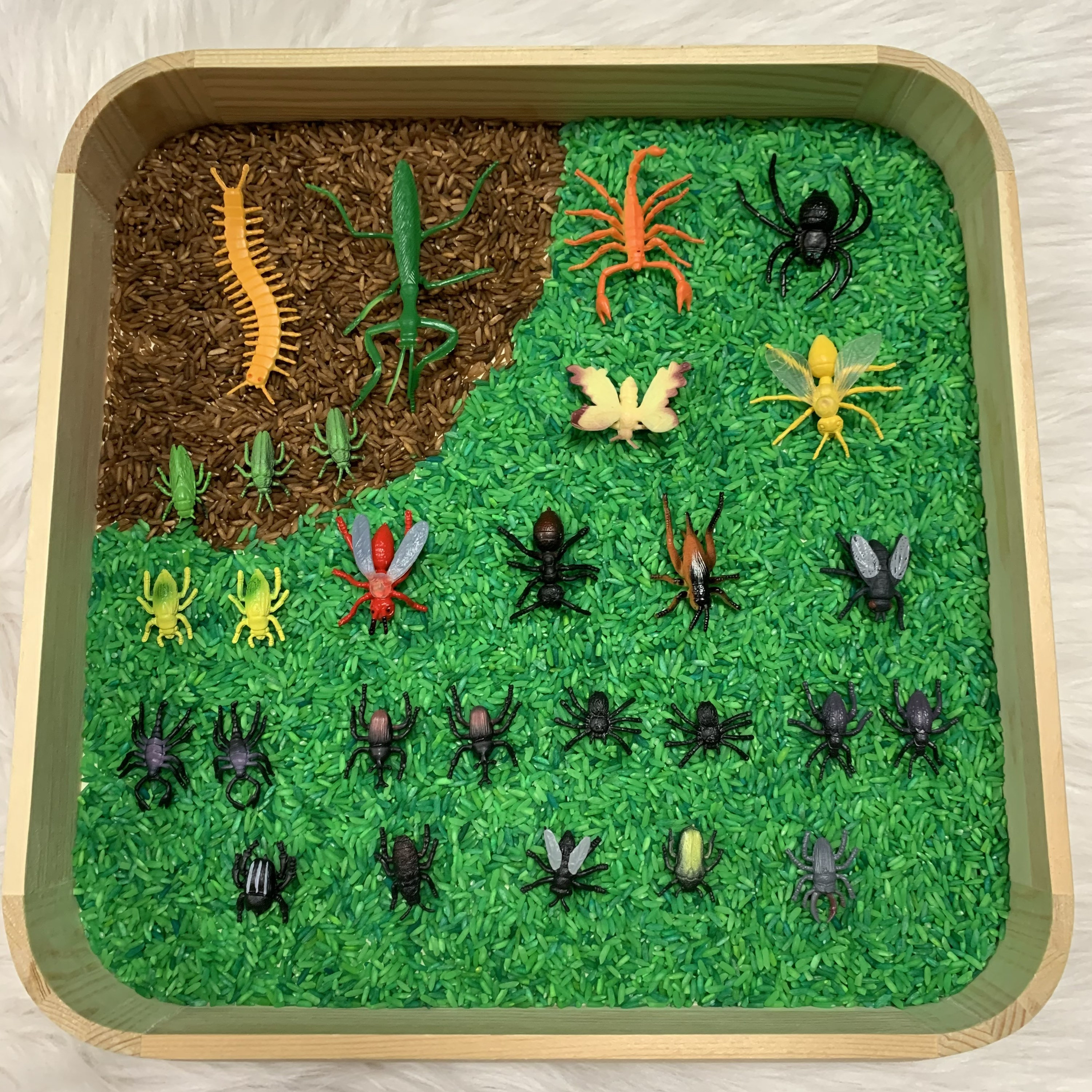 Bug Hunt Sensory Bin Featuring Insect Puzzle Cards - Etsy