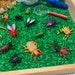 Bug Hunt Sensory Bin Featuring Insect Puzzle Cards - Etsy