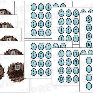 Bird Nest Number Matching & Counting | Spring Number Identification ...
