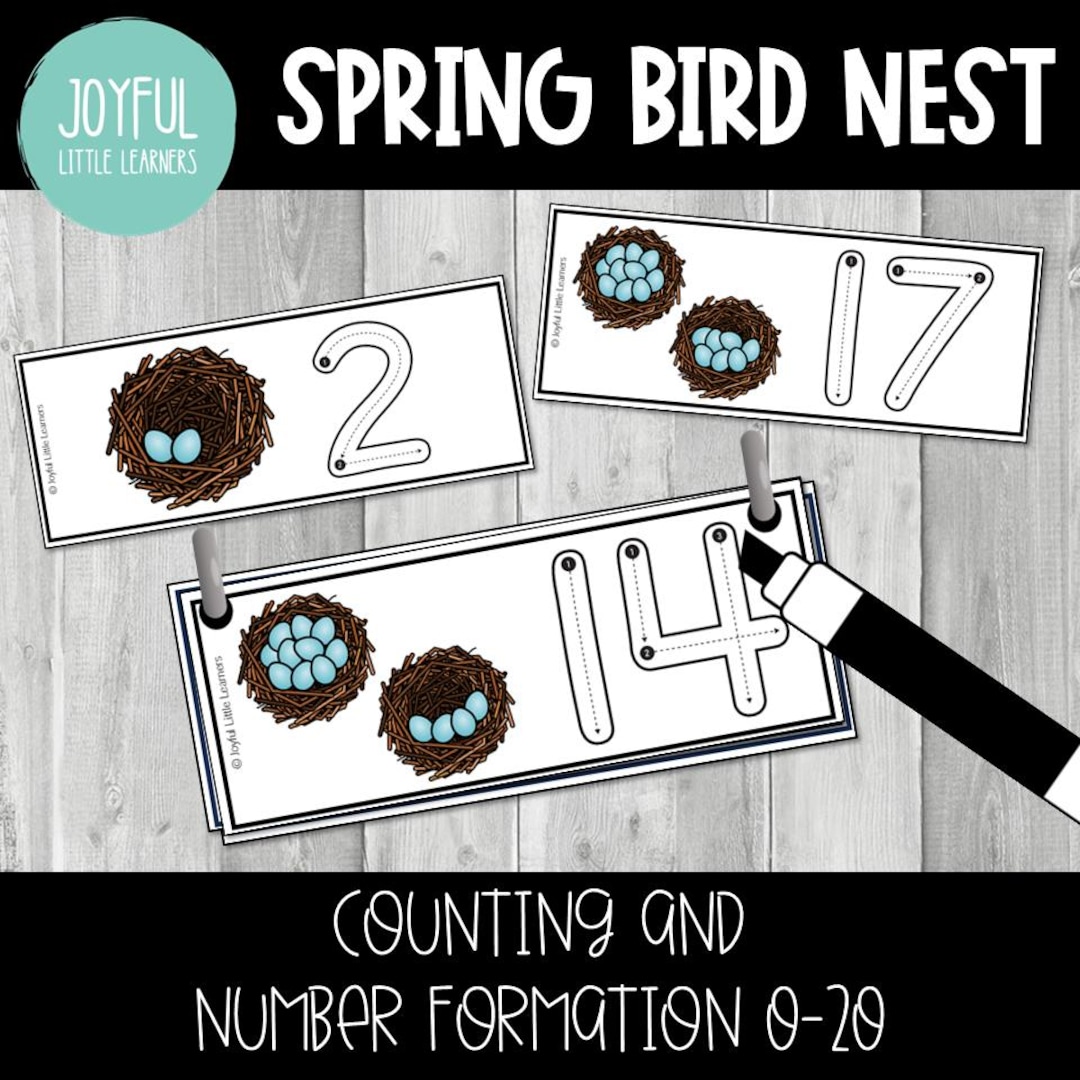 Bird Nest Number Formation Activity | Spring Counting & Number ...