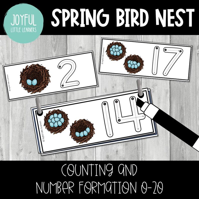 Bird Nest Number Formation Activity | Spring Counting & Number ...