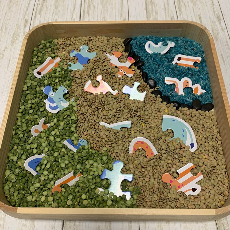 Wild Animals Sensory Bin Featuring Mini Animal Puzzles - Etsy