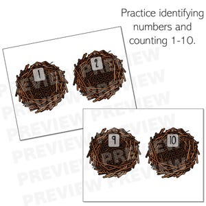 Bird Nest Number Matching & Counting | Spring Number Identification ...