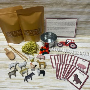 Farm Animals Sensory Bin Featuring Animal Activity Cards - Etsy
