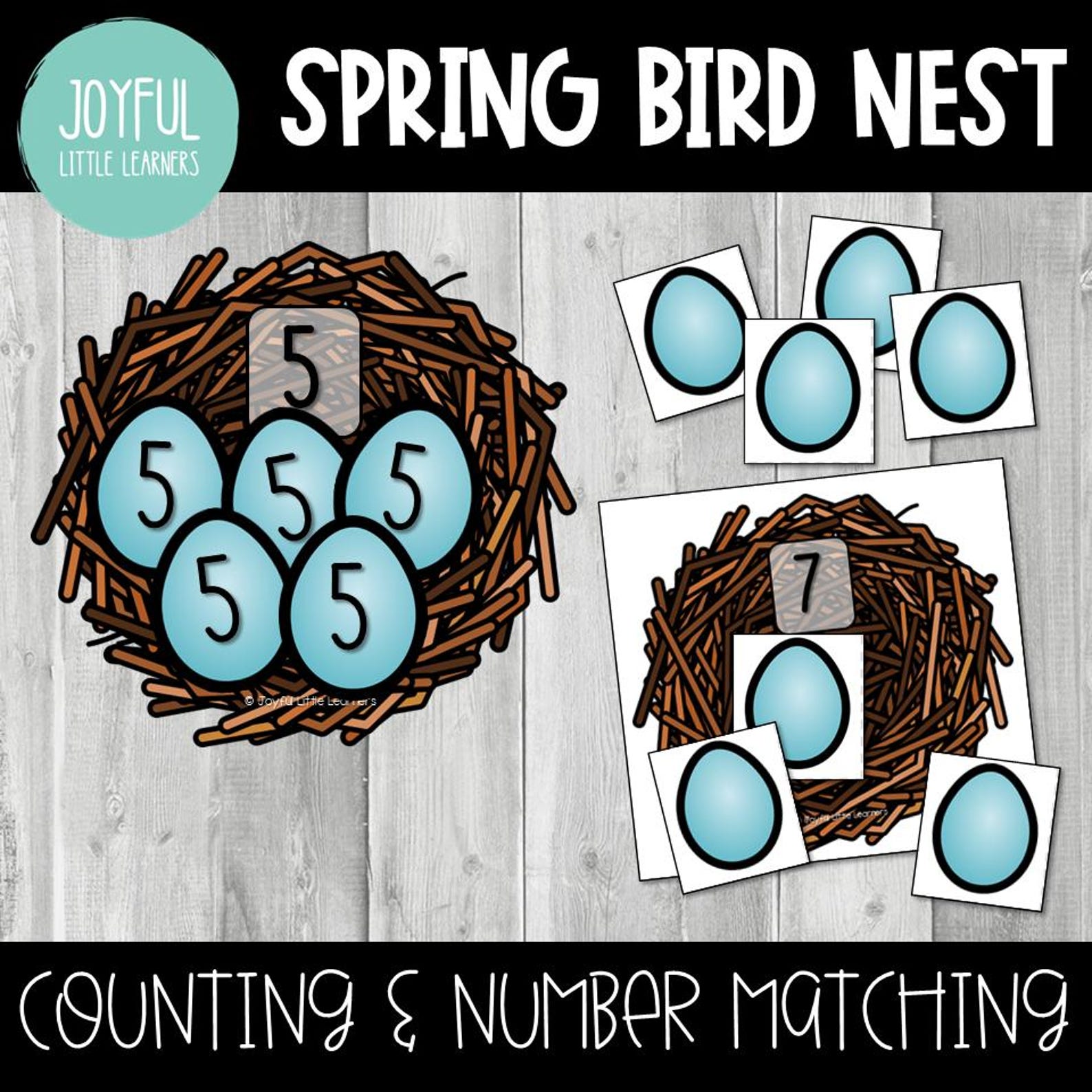 Bird Nest Number Matching & Counting | Spring Number Identification ...