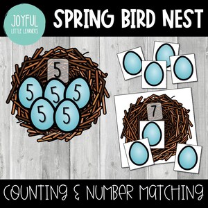 Bird Nest Number Matching & Counting | Spring Number Identification ...