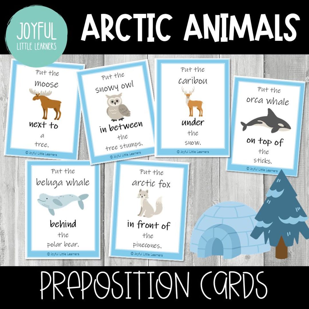 Arctic Animals Preposition Cards | Winter Spatial Concept Following ...