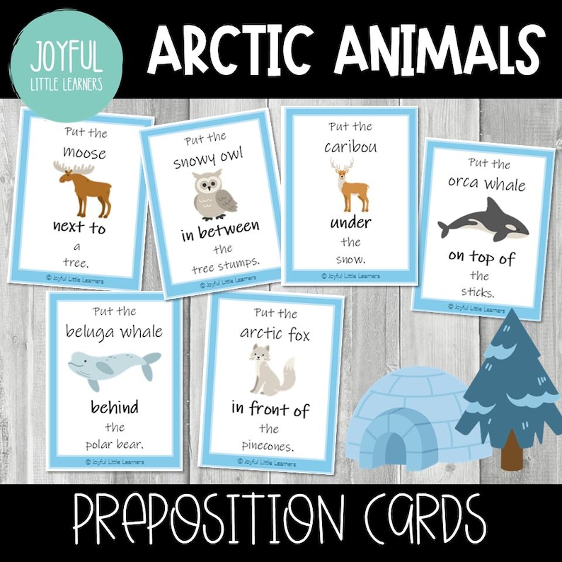 Arctic Animals Preposition Cards | Winter Spatial Concept Following ...