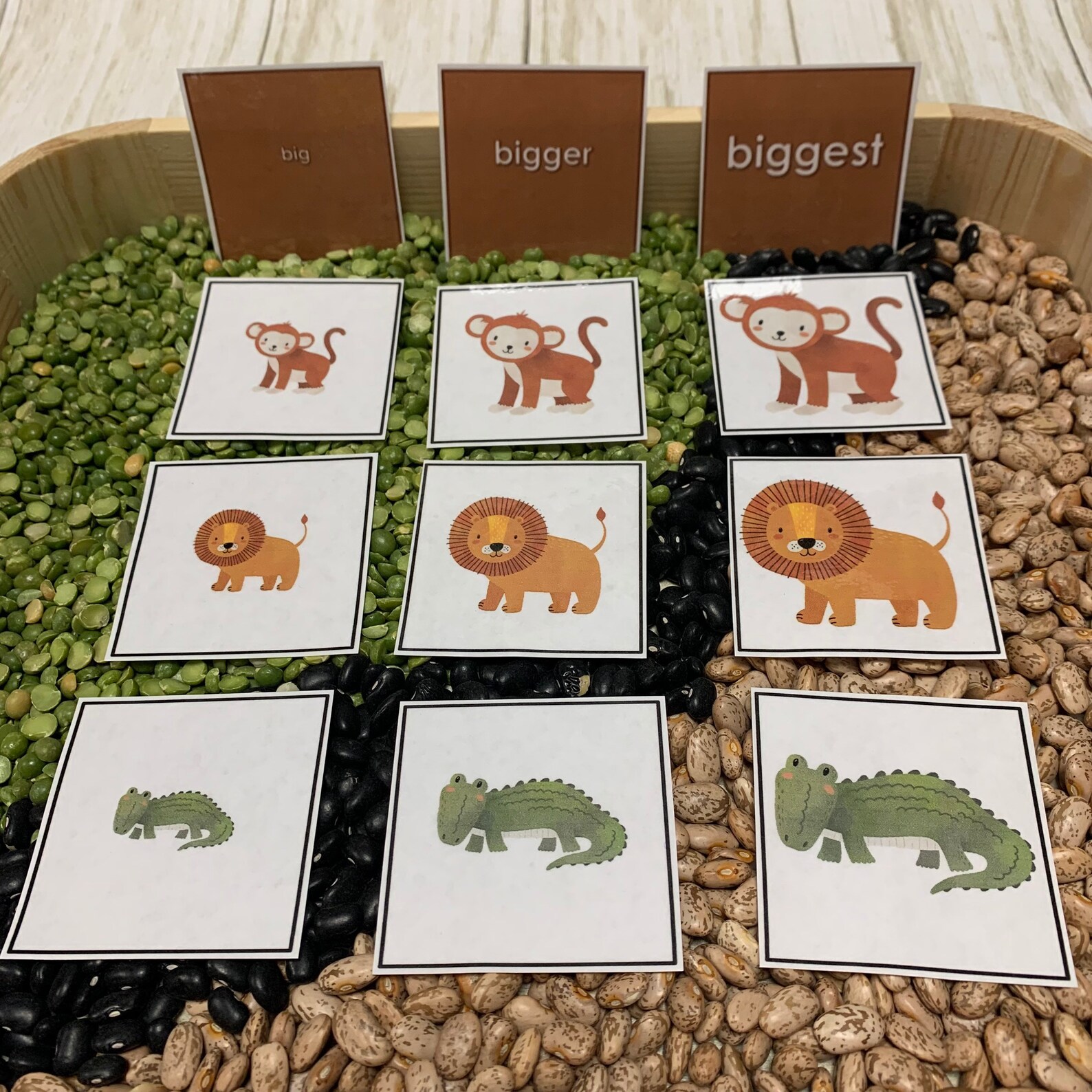African Safari Animal Sensory Bin Featuring Size Sorting Activity - Etsy