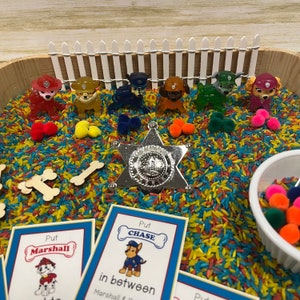 PAW Patrol Sensory Bin Featuring Preposition Cards for Following ...