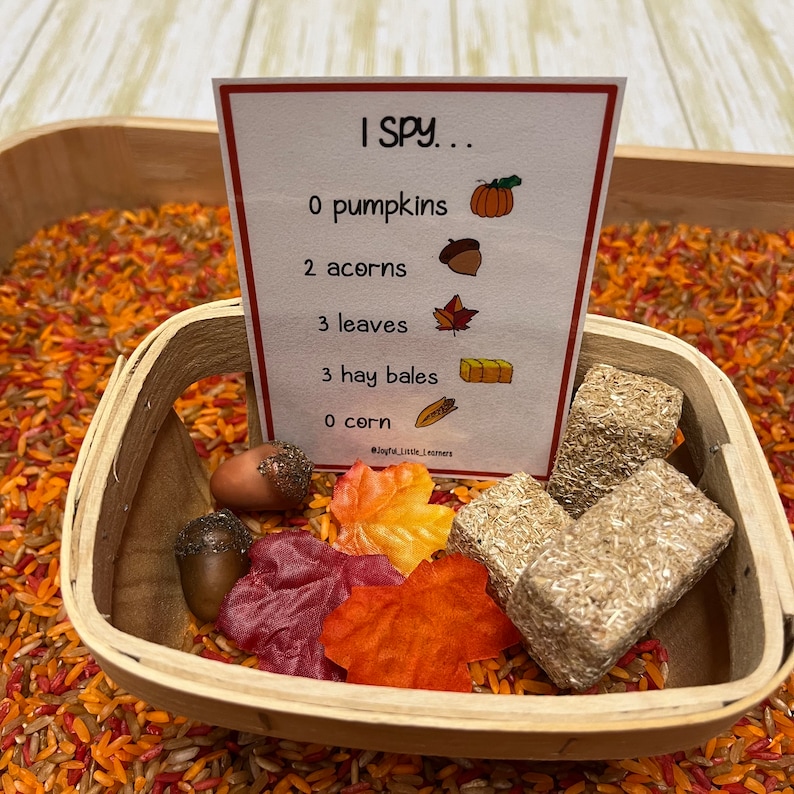 Fall “I Spy” Sensory Bin | Autumn Sensory Bin - Etsy