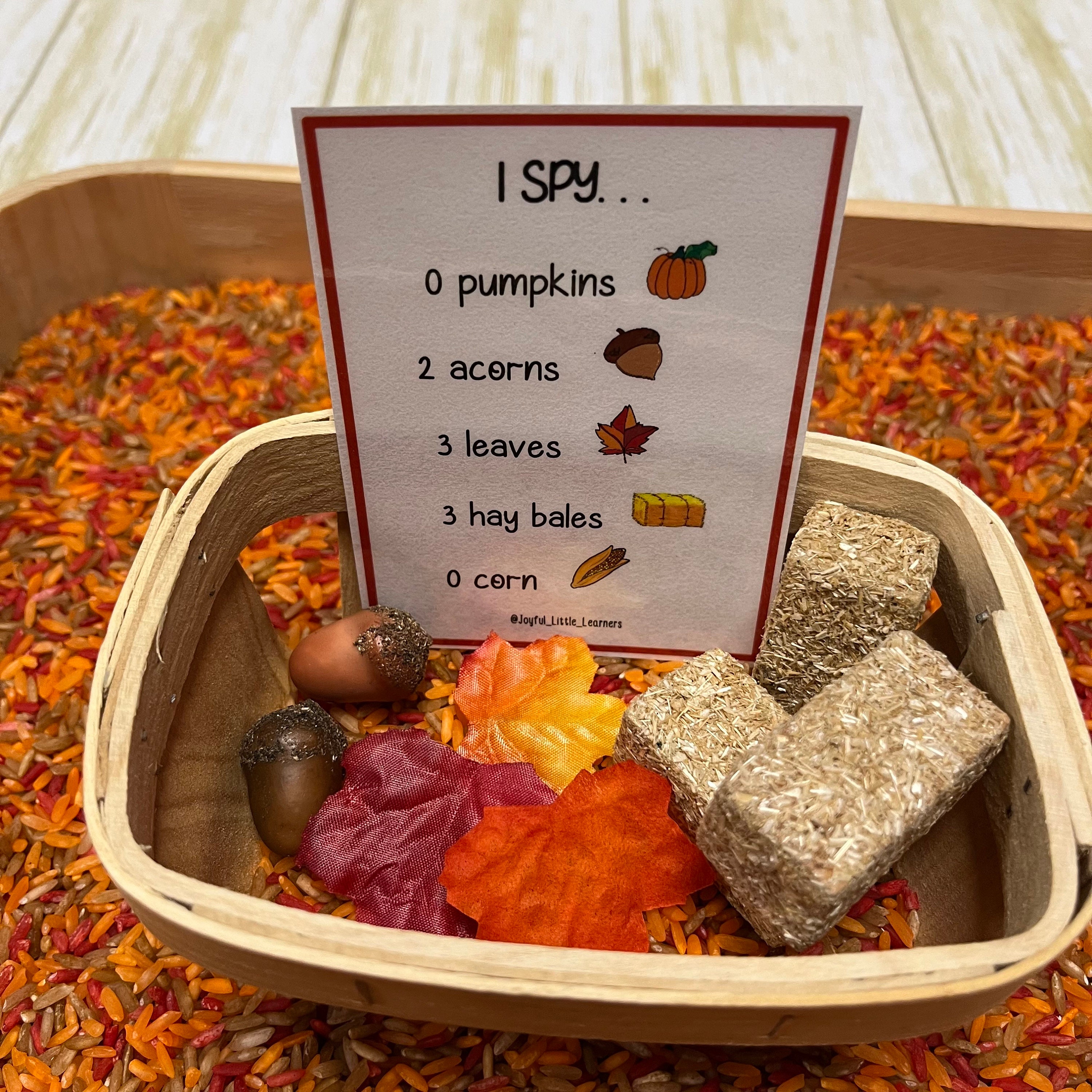 Fall I Spy Sensory Bin Autumn Sensory Bin - Etsy