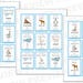 Arctic Animals Preposition Cards | Winter Spatial Concept Following ...