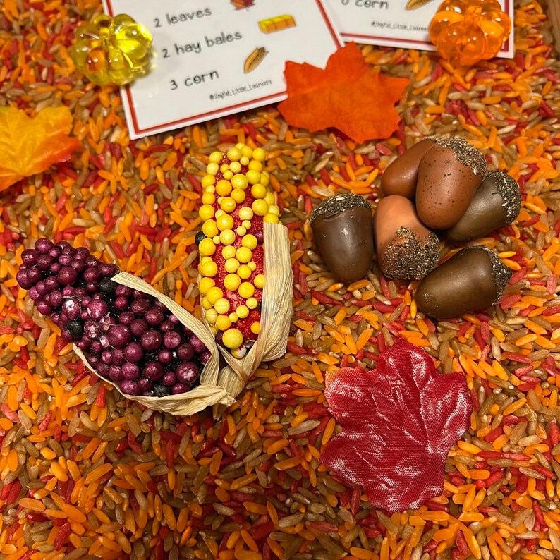 Fall “I Spy” Sensory Bin | Autumn Sensory Bin - Etsy