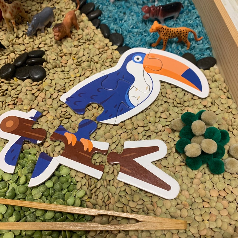 Wild Animals Sensory Bin Featuring Mini Animal Puzzles - Etsy