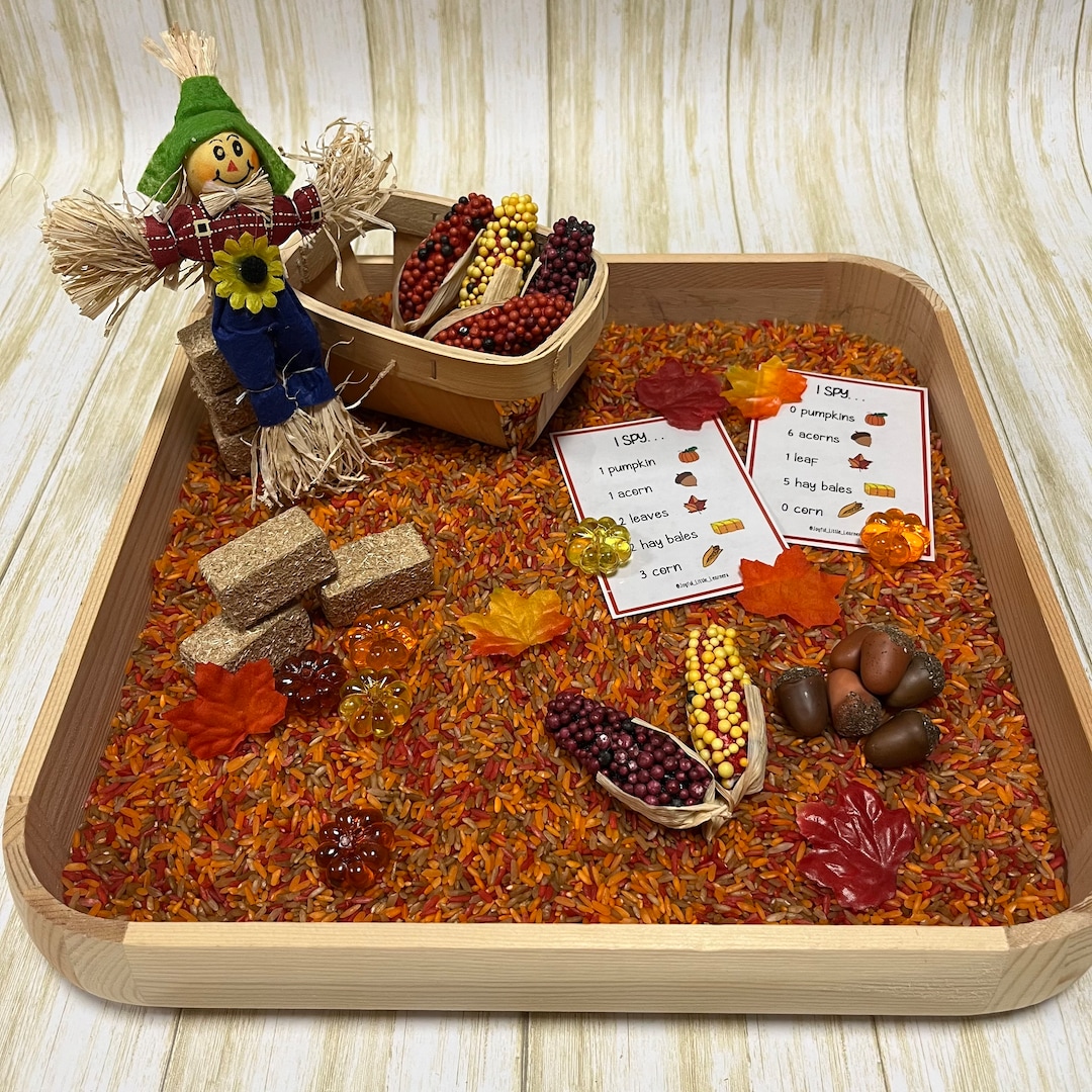 Fall “I Spy” Sensory Bin | Autumn Sensory Bin - Etsy