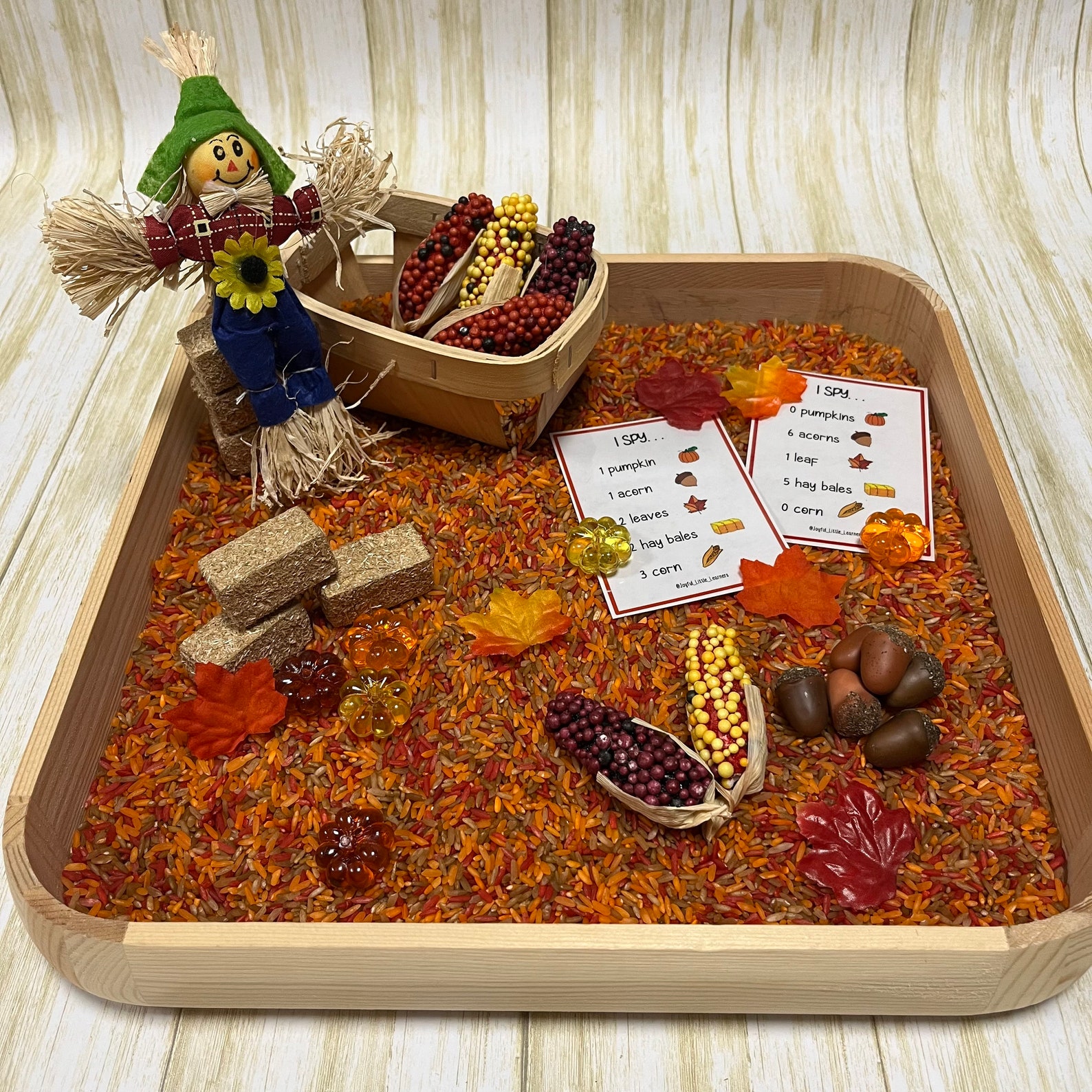 Fall “I Spy” Sensory Bin | Autumn Sensory Bin - Etsy
