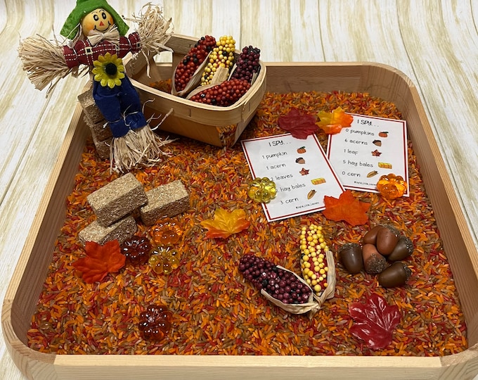 Fall “I Spy” Sensory Bin | Autumn Sensory Bin - Etsy