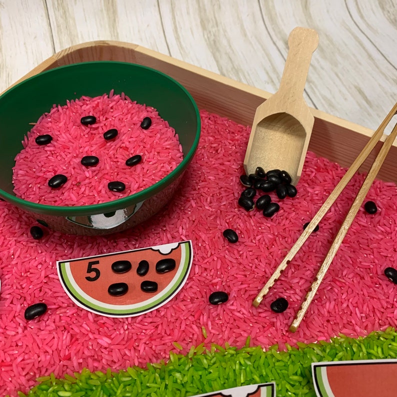 Summer Watermelon Sensory Bin Ft. Counting Activities - Etsy