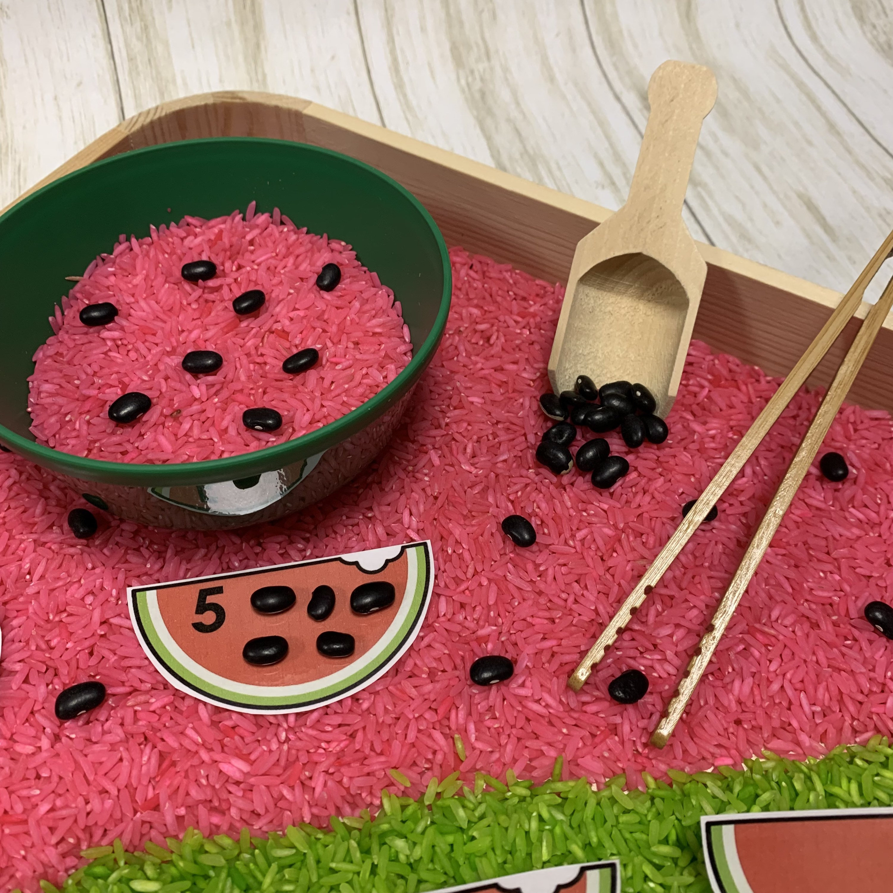 Summer Watermelon Sensory Bin Ft. Counting Activities - Etsy