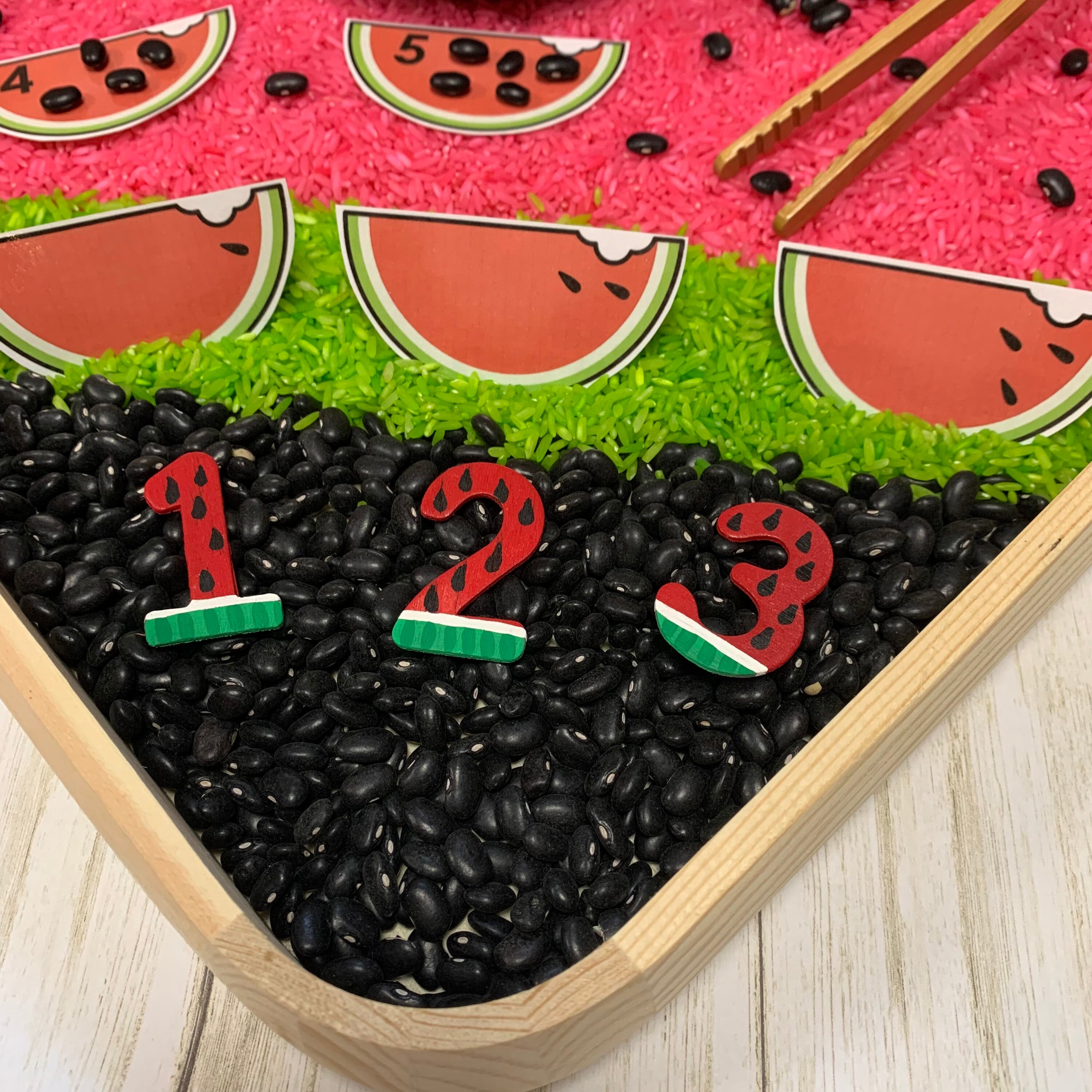 Summer Watermelon Sensory Bin Ft. Counting Activities - Etsy