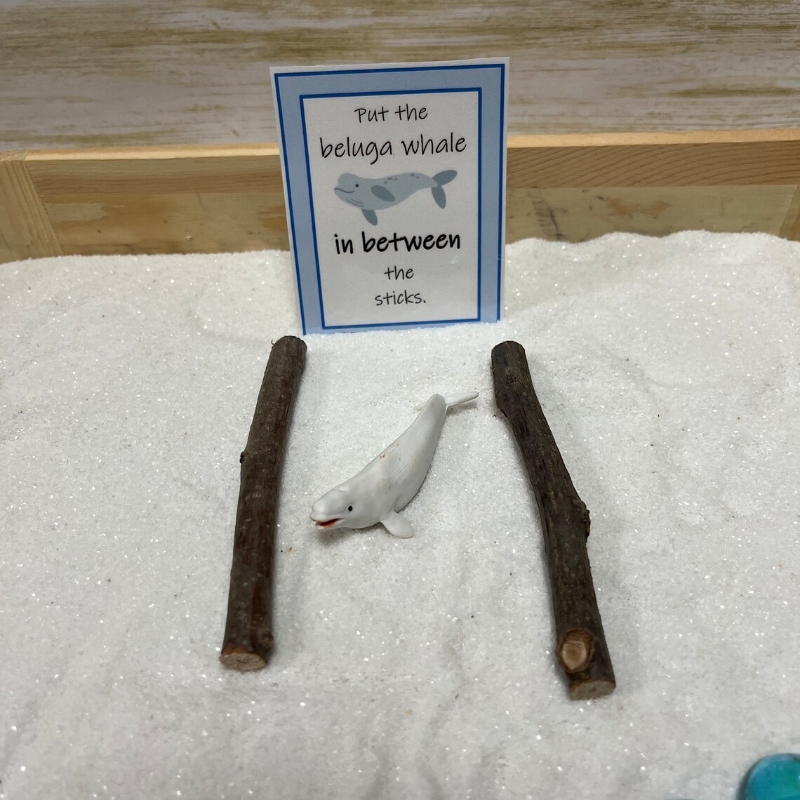 Arctic Animals Winter Sensory Bin - Etsy