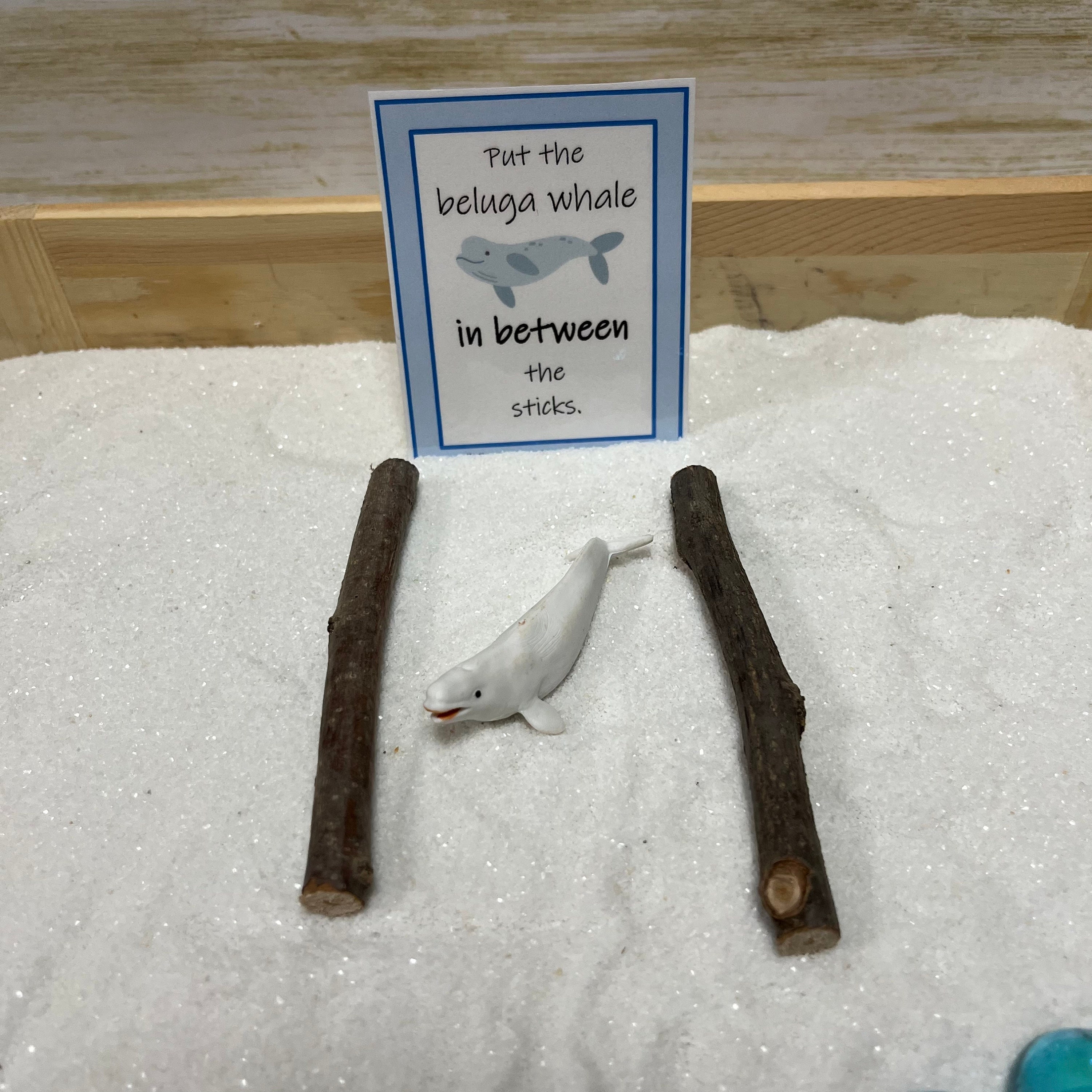 Arctic Animals Winter Sensory Bin - Etsy