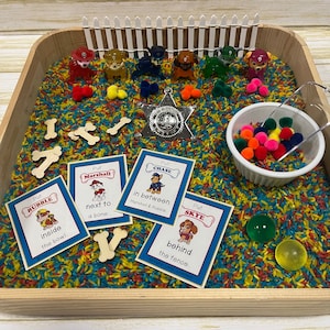 PAW Patrol Sensory Bin Featuring Preposition Cards for Following ...