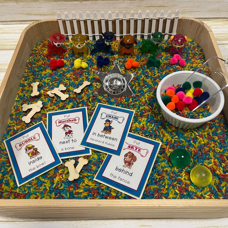 PAW Patrol Sensory Bin Featuring Spatial Concept Cards - Etsy