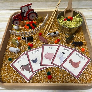 Farm Animals Sensory Bin Featuring Animal Activity Cards - Etsy