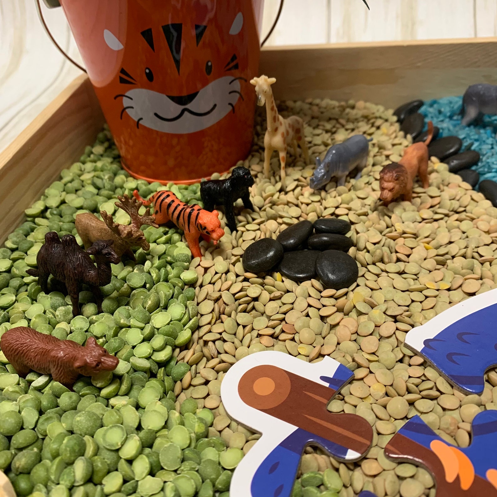 Wild Animals Sensory Bin Featuring Mini Animal Puzzles - Etsy