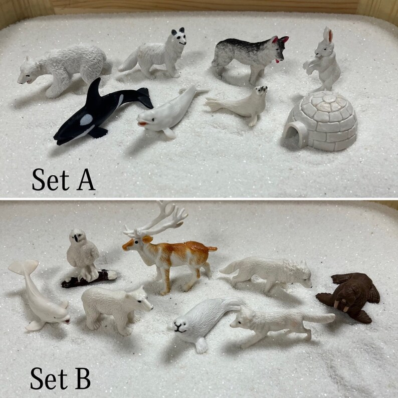 Arctic Animals Winter Sensory Bin - Etsy