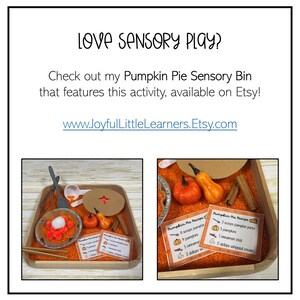 Pumpkin Pie Recipe Cards | Pumpkin Pie Sensory Bin Task Cards ...