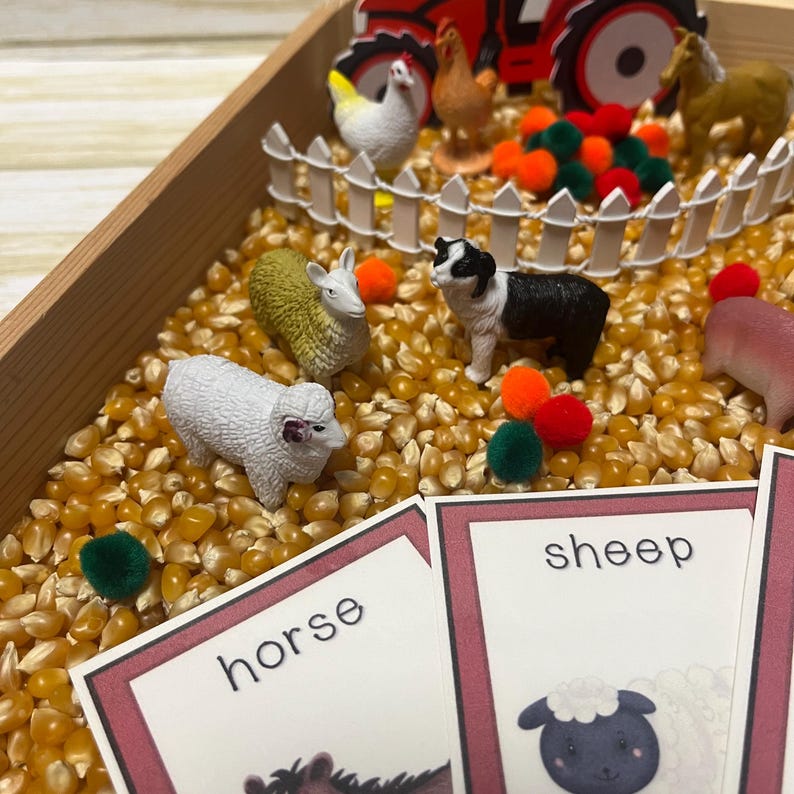 Farm Animals Sensory Bin Featuring Animal Activity Cards - Etsy