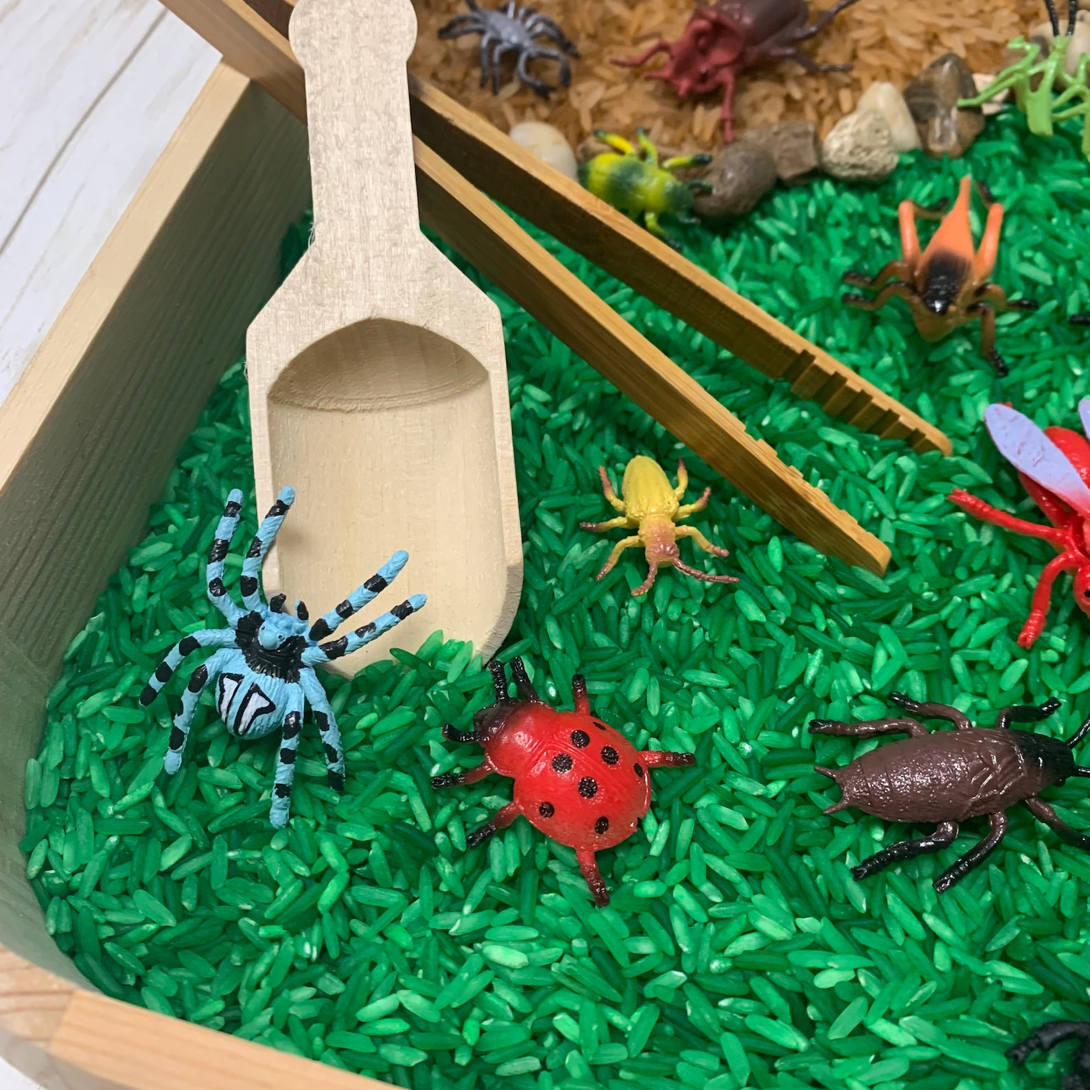 Bug Hunt Sensory Bin Featuring Insect Puzzle Cards | Insect Sensory Bin ...