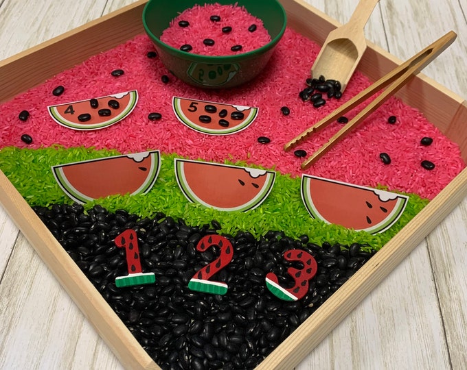 Summer Watermelon Sensory Bin Ft. Counting Activities - Etsy