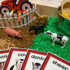 Farm Animals Sensory Bin Featuring Animal Card Game Activity - Etsy