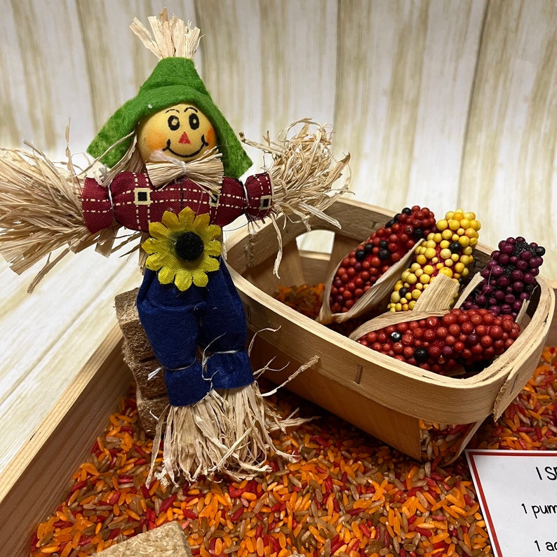 Fall I Spy Sensory Bin Autumn Sensory Bin - Etsy