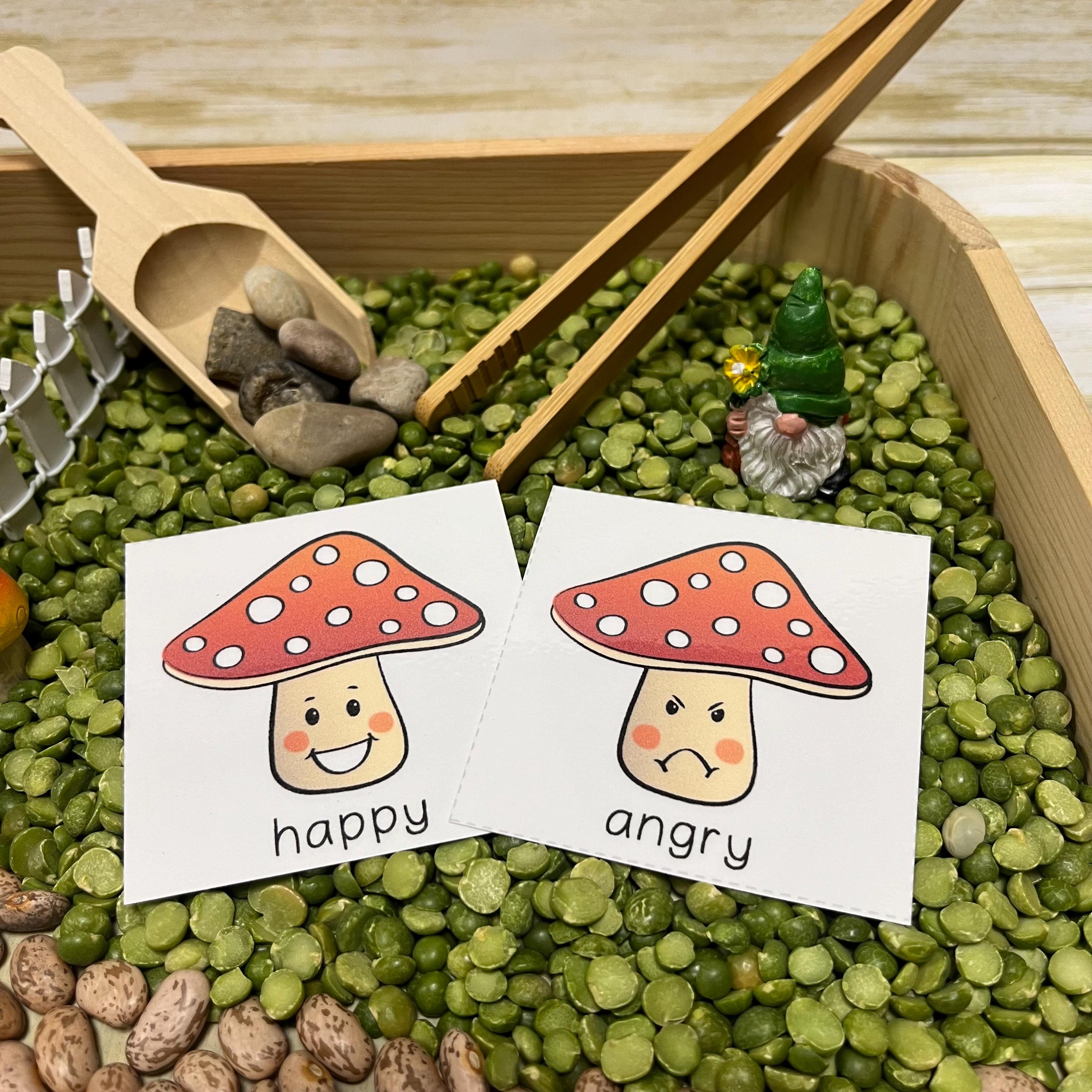 Fairy Gnome Garden Sensory Bin Feat. Feelings Emotions Cards | Summer ...