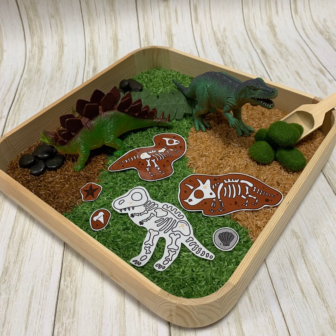 Dinosaur Fossil Dig Sensory Bin | Dino Sensory Bin - Etsy