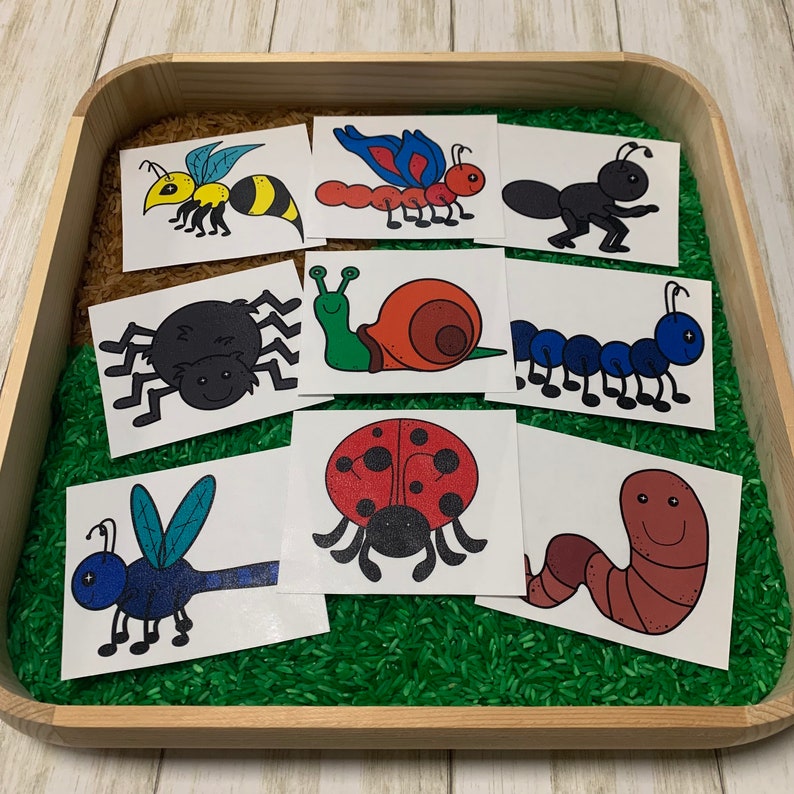 Bug Hunt Sensory Bin Featuring Insect Puzzle Cards - Etsy