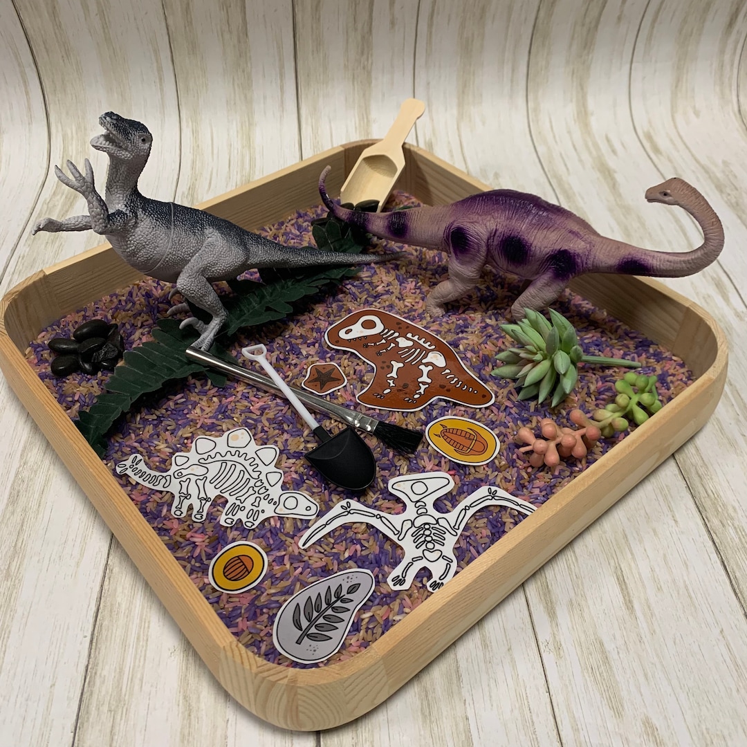 Purple Girly Dinosaurs | Paleontologist Fossil Dig | Dino Sensory Bin ...