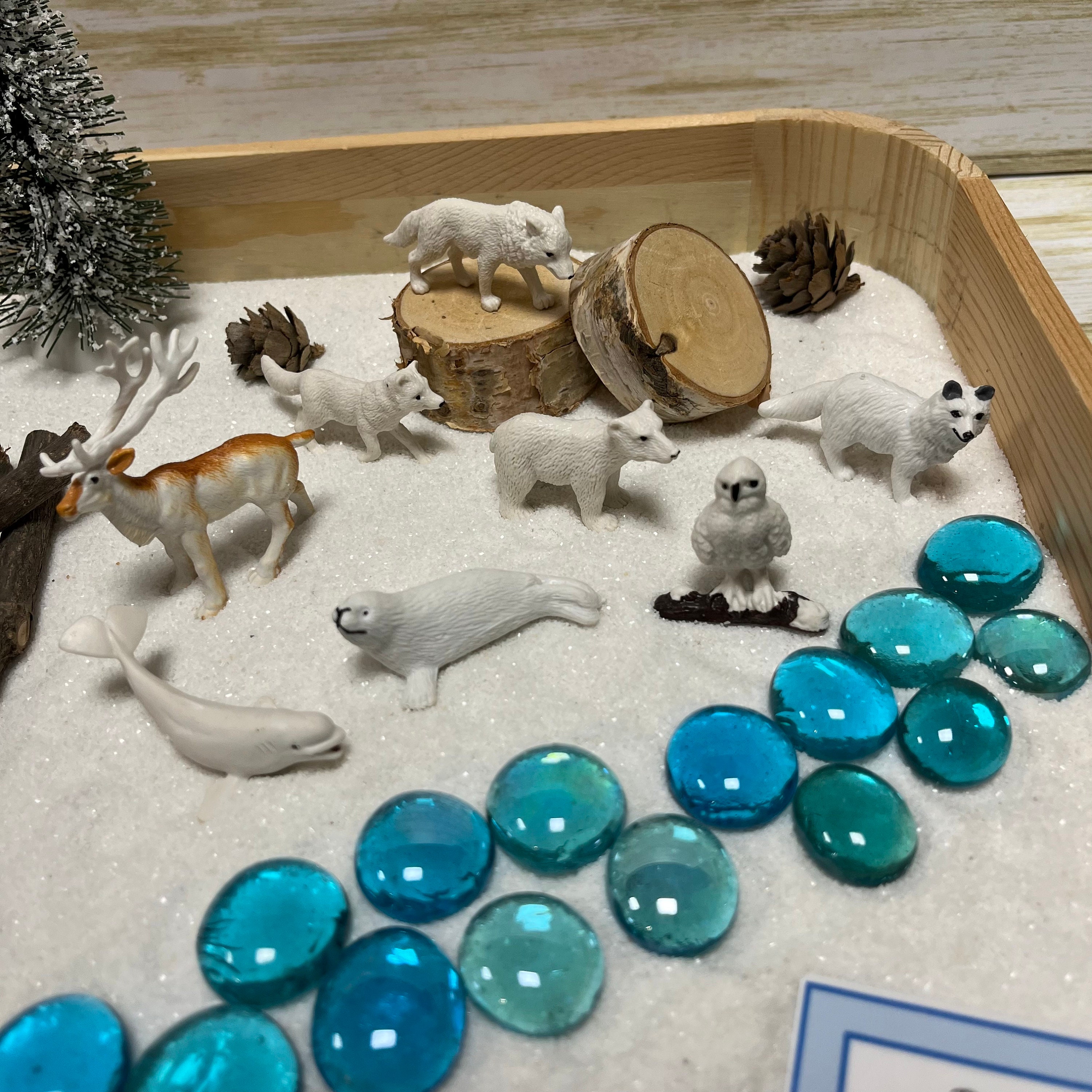 Arctic Animals Winter Sensory Bin - Etsy